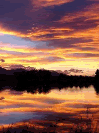 Sunrise GIFs - Get the best gif on GIFER