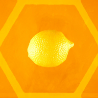 Lemon GIFs - Get the best gif on GIFER
