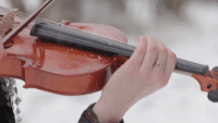 Violin GIFs - Get the best gif on GIFER