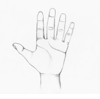 Hand GIFs - Get the best gif on GIFER