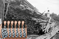 35mm GIFs - Get the best gif on GIFER