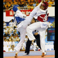 Taekwondo GIFs - Get the best gif on GIFER