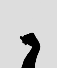 Contouring GIFs - Get the best gif on GIFER