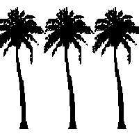 Palm trees GIF - Conseguir o melhor gif em GIFER