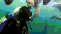 Diver GIFs - Get the best gif on GIFER