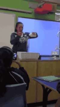 Class GIFs - Get the best gif on GIFER