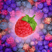 Raspberry GIFs - Get the best gif on GIFER