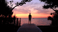 Surfer GIFs - Get the best gif on GIFER