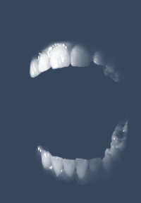Teeth GIFs - Get the best gif on GIFER
