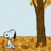 Inspiration GIFs - Get the best gif on GIFER