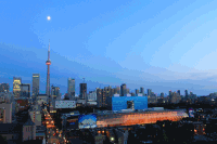 Toronto GIFs - Get the best gif on GIFER