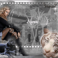 710 GIFs - Get the best gif on GIFER