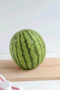 Watermelon GIFs - Get the best gif on GIFER