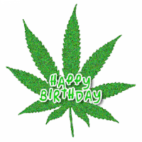 Weeds GIFs - Get the best gif on GIFER