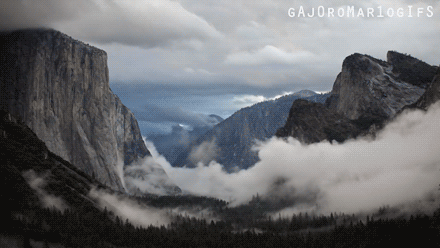 Snowboardcross гифки, анимированные GIF изображения snowboardcross ...