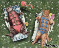 Bundle GIFs - Get the best gif on GIFER