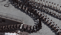 Centipede GIFs - Get the best gif on GIFER