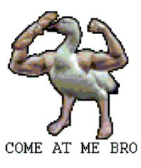 Goose GIFs - Get the best gif on GIFER