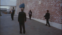 Doubletake GIFs - Get the best gif on GIFER