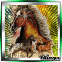 Pferd GIFs - Get the best gif on GIFER