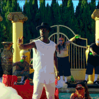 Pound GIFs - Get the best gif on GIFER