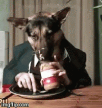 Обед гифки, анимированные GIF изображения обед - скачать гиф картинки ...