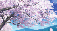 Sakura GIFs - Get the best gif on GIFER