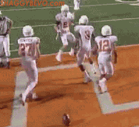 Longhorn GIFs - Get the best gif on GIFER