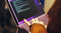 Cinch GIFs - Get the best gif on GIFER
