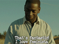 Stray GIFs - Get the best gif on GIFER