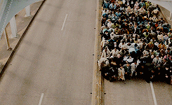 Tripwire GIFs - Get the best gif on GIFER