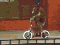 Unicycles GIFs - Get the best gif on GIFER