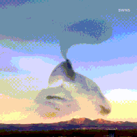 Swarm GIFs - Get the best gif on GIFER