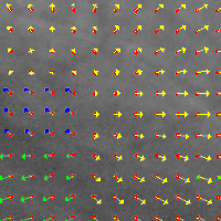 Transparency GIFs - Get the best gif on GIFER