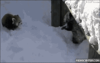 Freezes GIFs - Get the best gif on GIFER