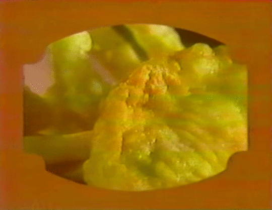 Rotating fried meat GIFs - Get the best gif on GIFER