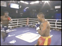 Kick boxing GIFs - Get the best gif on GIFER
