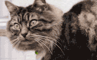Realisation GIFs - Get the best gif on GIFER