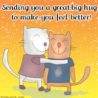 Better GIFs - Get the best gif on GIFER