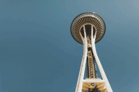 Seattle GIFs - Get the best gif on GIFER