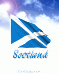 Scotland GIFs - Get the best gif on GIFER