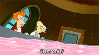 Stem GIFs - Get the best gif on GIFER