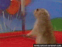 Overreact GIFs - Get the best gif on GIFER