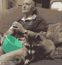 Scavengers GIFs - Get the best gif on GIFER