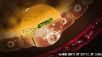 Bacteria GIFs - Get the best gif on GIFER