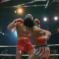 Rocky GIFs - Get the best gif on GIFER