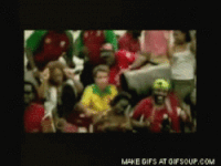 Ludicrous GIFs - Get the best gif on GIFER