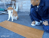 Collaboration GIFs - Get the best gif on GIFER