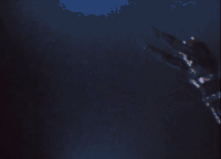 Flutter kick GIFs - Obtenez le meilleur gif sur GIFER