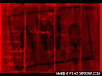 Wolfpack GIFs - Get the best gif on GIFER